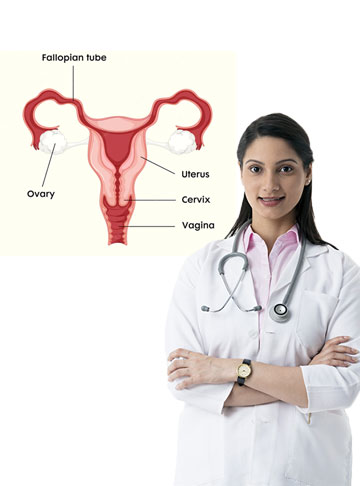 Fallopian Tube Blogs: Your Guide to Pregnancy | Indira IVF