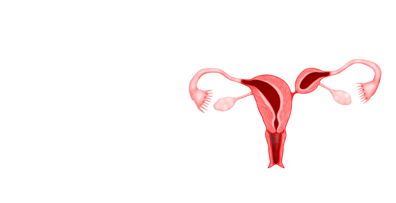 Mullerian Duct Anomalies Causes Symptoms And Treatment Indira Ivf