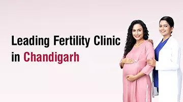 Best IVF Doctor in Chandigarh: Fertility Specialist in Chandigarh ...